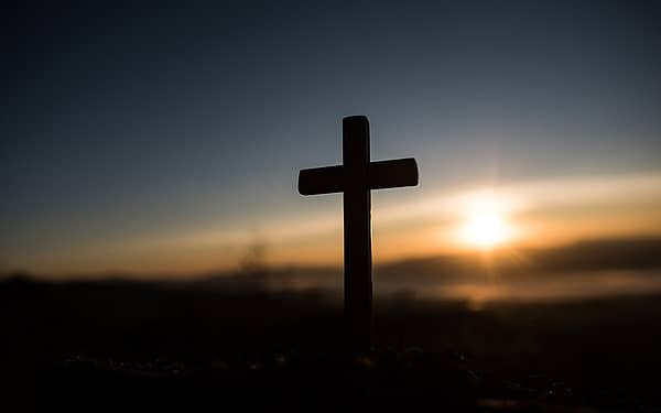 National Take a Walk in the Park Day (March 30th) | Days Of The Year