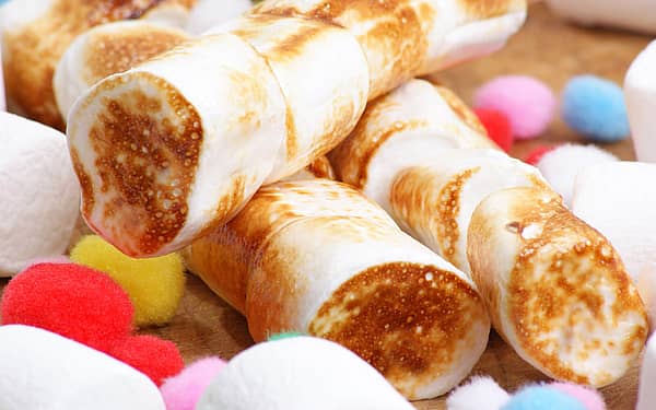 National Slinky Day (August 30th) | Days Of The Year