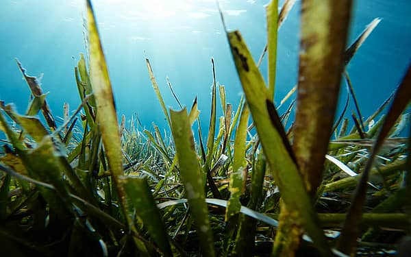 Global Day of Unplugging (March 1st, 2024) | Days Of The Year