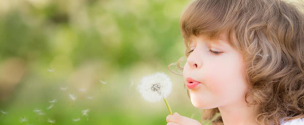 World Wish Day (April 29th) | Days Of The Year