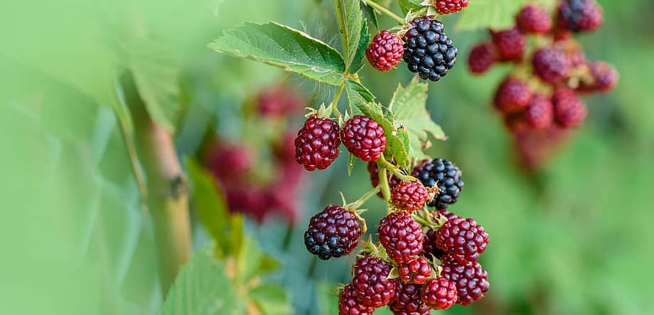 National Holidays on October 28th, 2023 | Days Of The Year