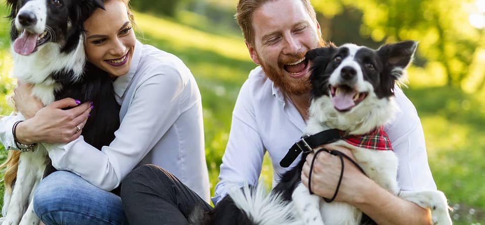 Pet Promise Day (September 16th) | Days Of The Year