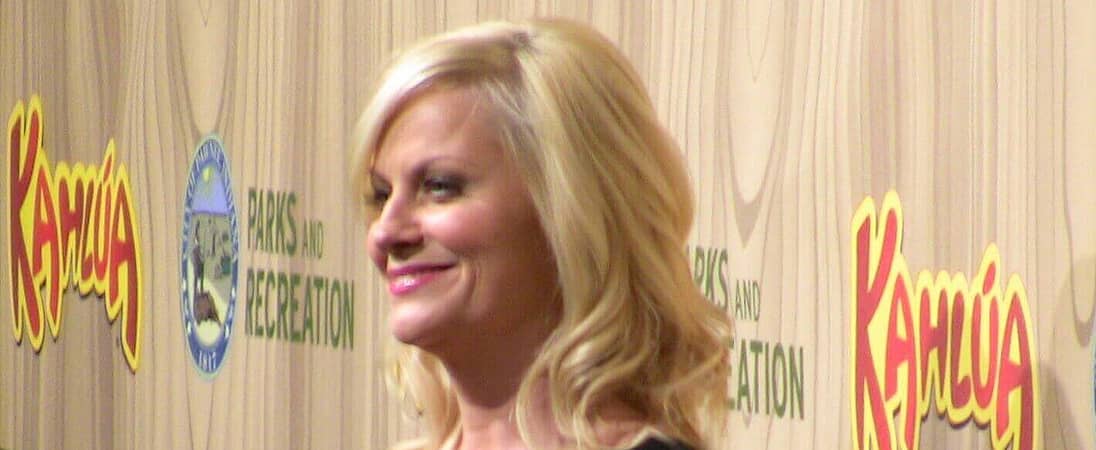 Amy Poehler's birthday (Sep 16th, 1971) | Days Of The Year