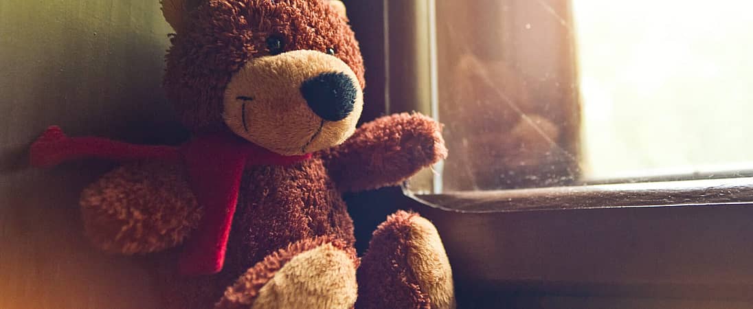 Bring Your Teddy Bear To Work & School Day (October 9th, 2024) | Days ...