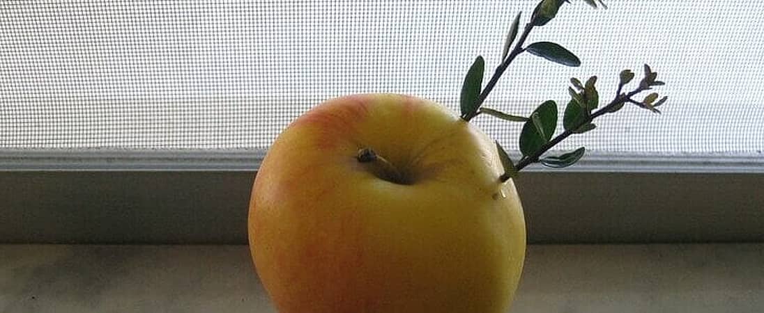 Calennig (January 13th) | Days Of The Year