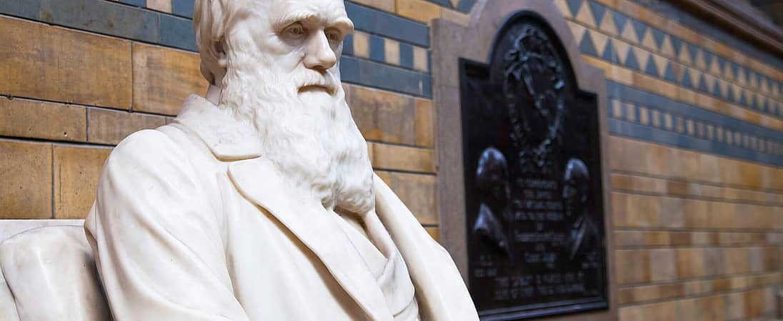 Darwin Day (February 12th) | Days Of The Year