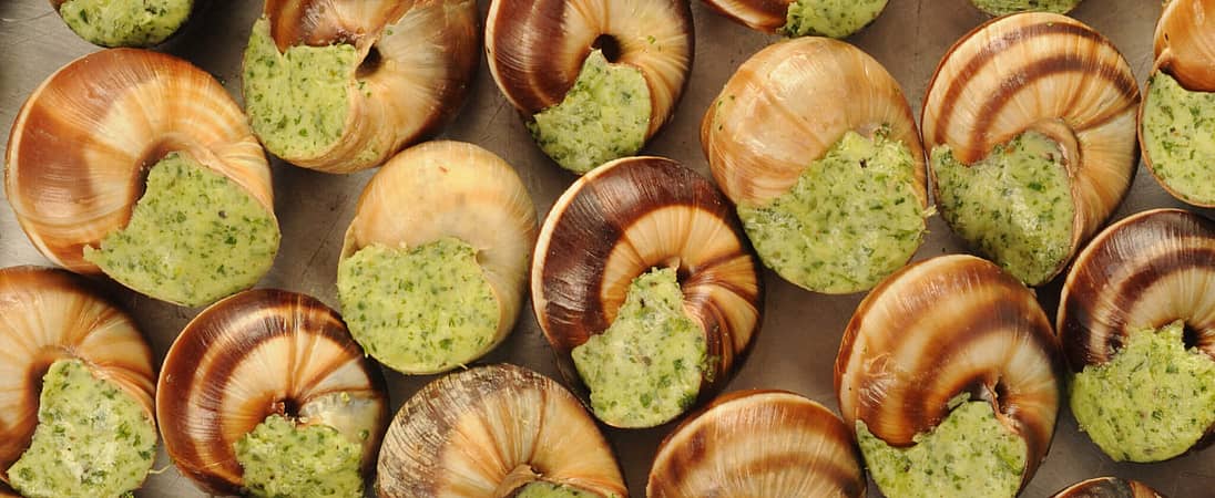 National Escargot Day (May 24th) | Days Of The Year