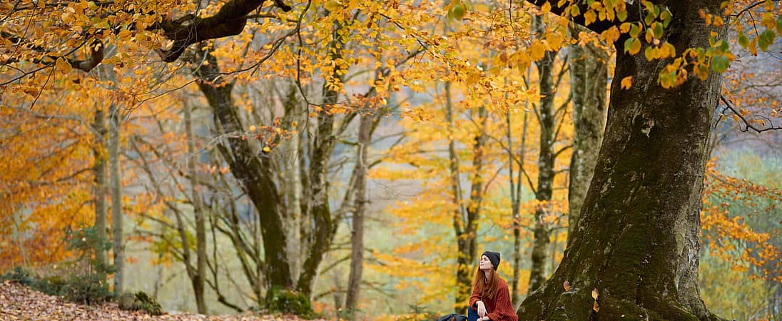 First Day of Autumn (September 22nd, 2024) | Days Of The Year