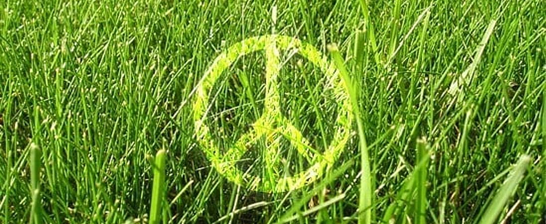 Greenpeace Day (September 15th) | Days Of The Year