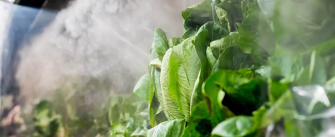 National Produce Misting Day (October 2nd) | Days Of The Year