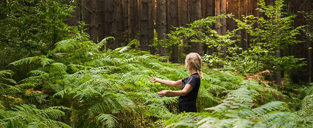 World Rewilding Day (March 20th) | Days Of The Year