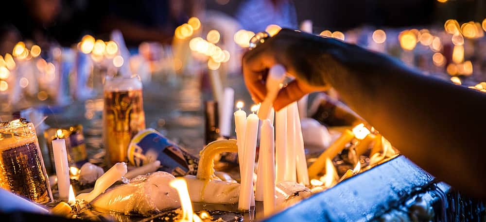 Dynamic Harmlessness Day (November 2nd) | Days Of The Year