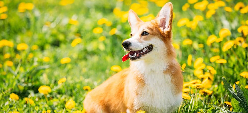 National Old Maids Day (June 4th) | Days Of The Year