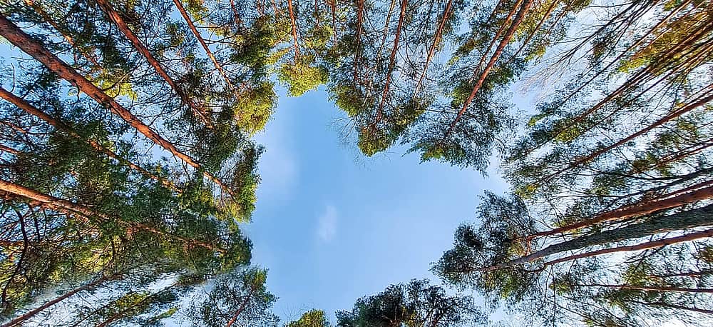 National Library Workers Day (April 8th, 2025) | Days Of The Year