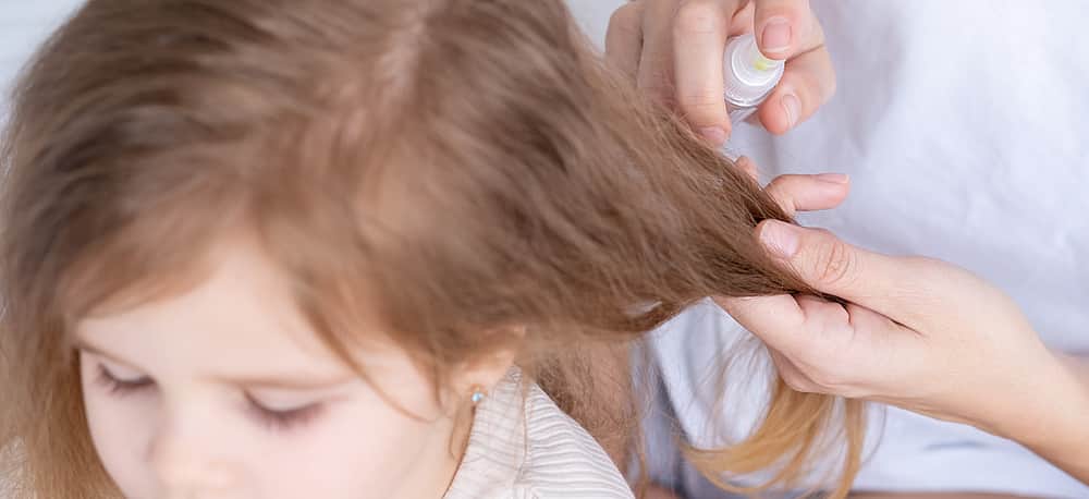 Magna Carta Day (June 15th) | Days Of The Year