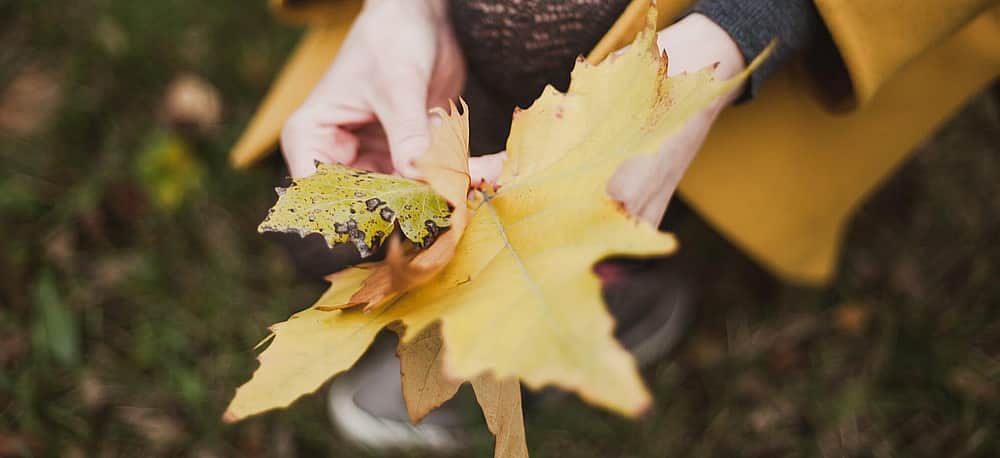 International Haiku Poetry Day (April 17th) | Days Of The Year