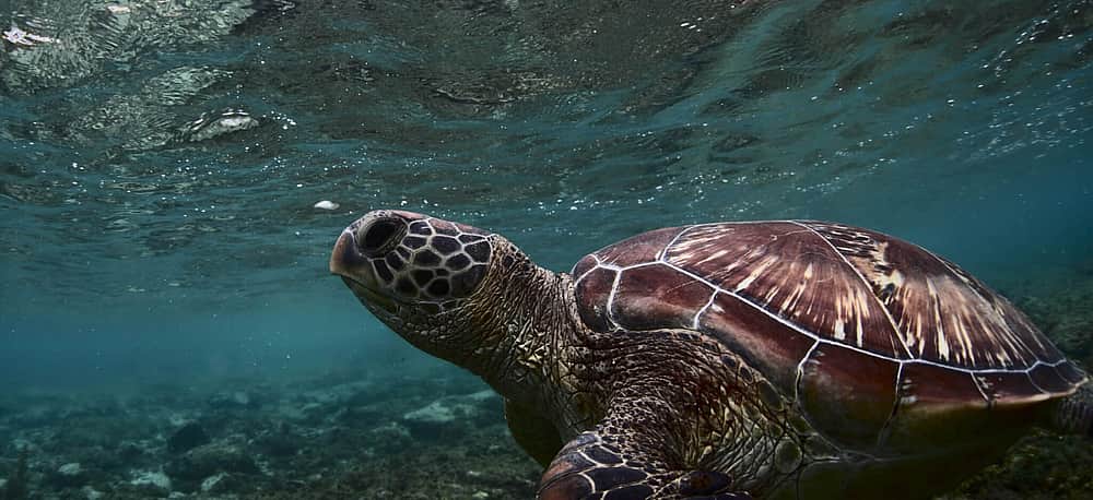 National Lucky Penny Day (May 23rd) | Days Of The Year