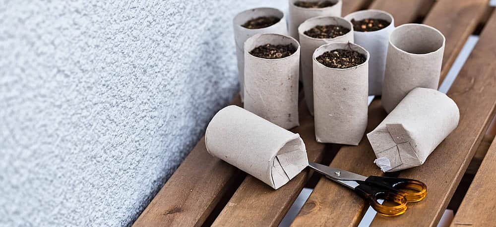 Swim a Lap Day (June 24th) | Days Of The Year