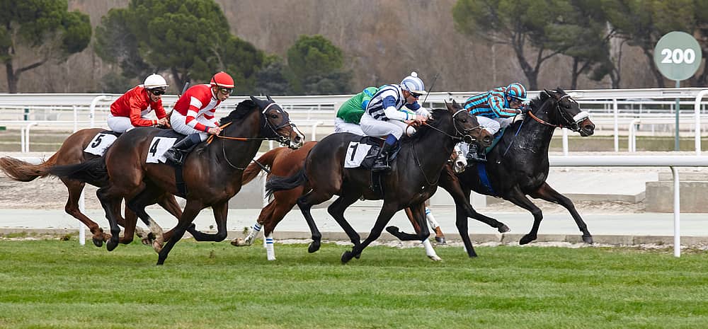 Kentucky Derby (May 4th, 2024) | Days Of The Year