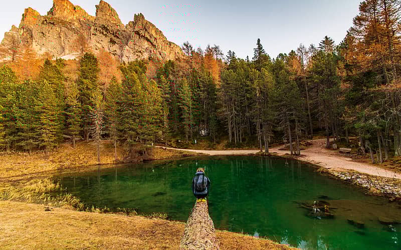 National Pack Rat Day | Days Of The Year (May 17th)