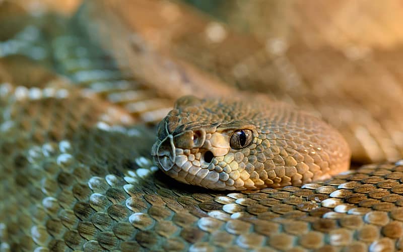 International Lego Day (January 28th) | Days Of The Year