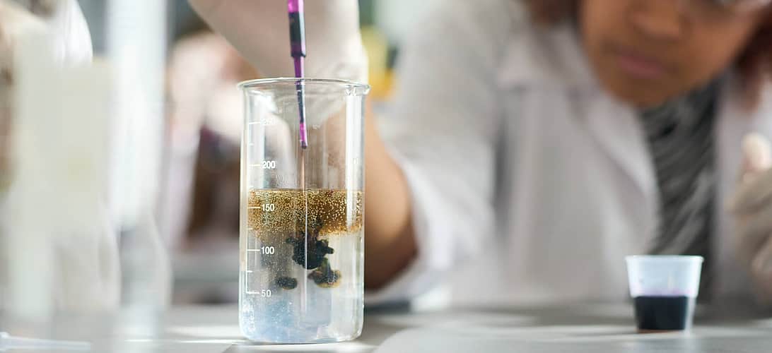 National Holidays on March 8th, 2024 | Days Of The Year