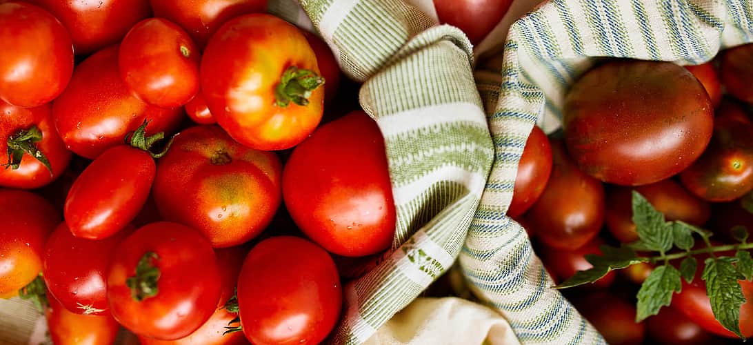 National Holidays on May 28th, 2024 | Days Of The Year