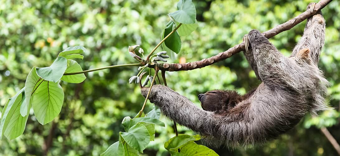 National Sweetest Day (October 19th, 2024) | Days Of The Year