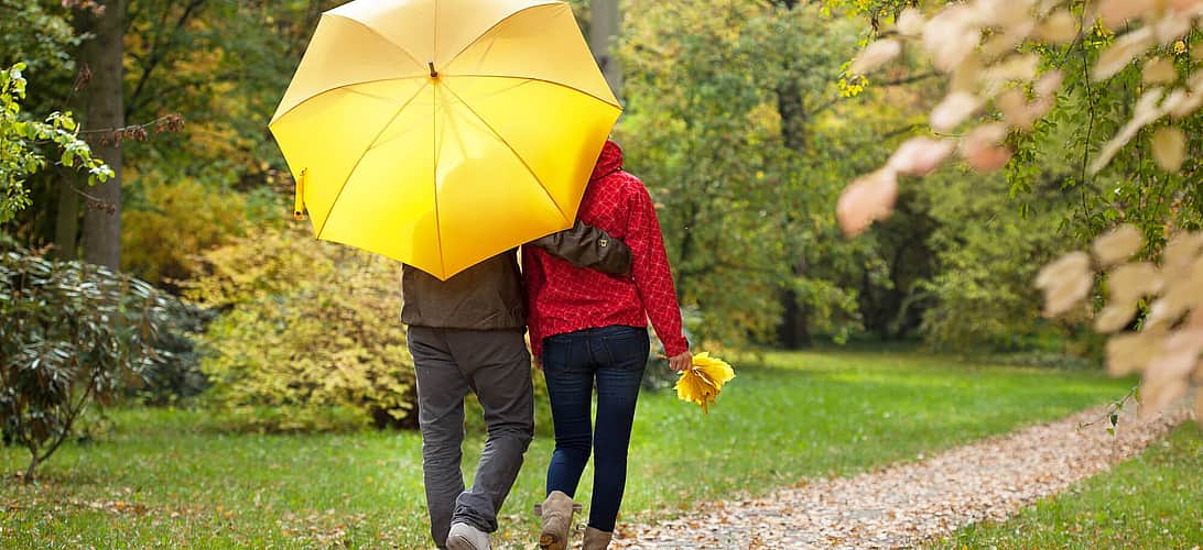 National Poop Day (February 10th, 2025) | Days Of The Year