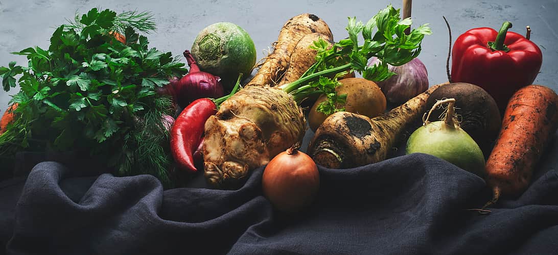 World Vegan Month (November 2024) | Days Of The Year