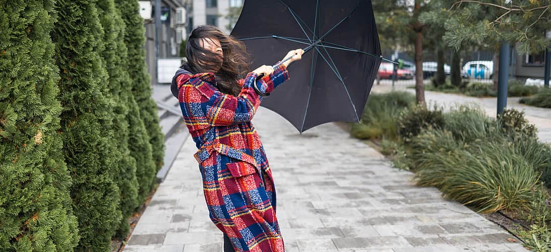 National Near Miss Day (March 23rd) | Days Of The Year