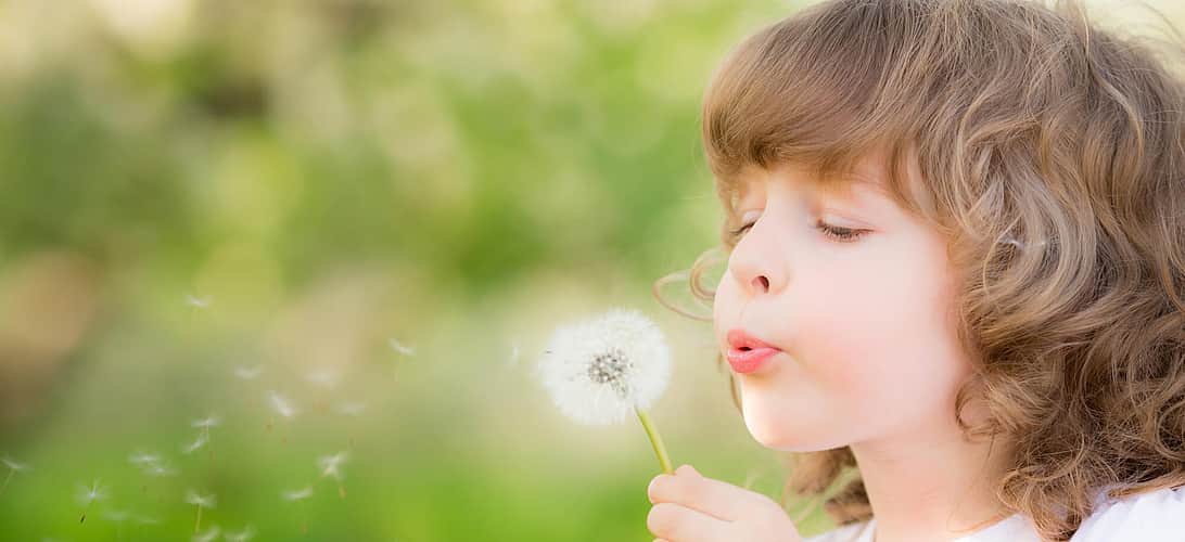 National Holidays on April 29th, 2024 | Days Of The Year