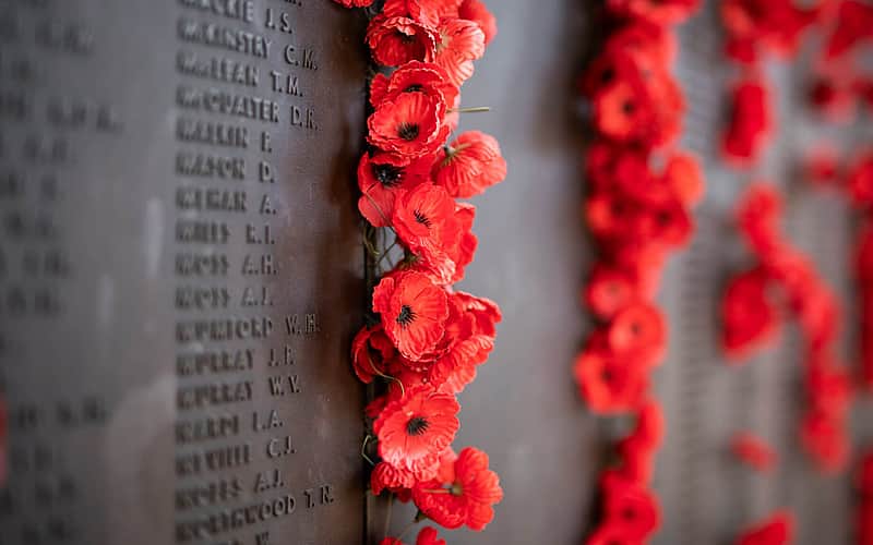 National Forget-Me-Not Day (November 10th) | Days Of The Year