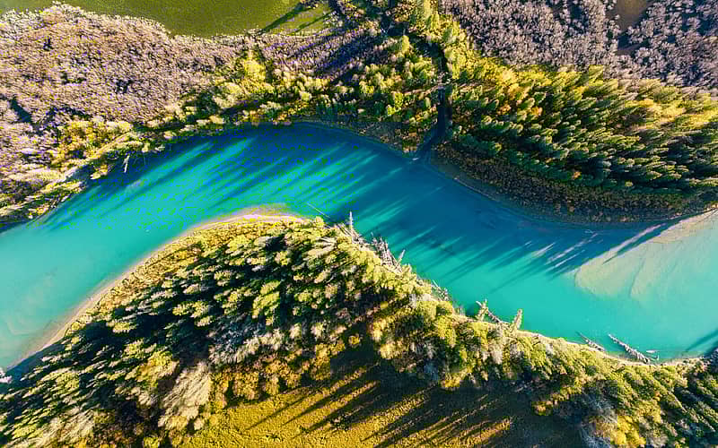 National Hedgehog Day (February 2nd) | Days Of The Year