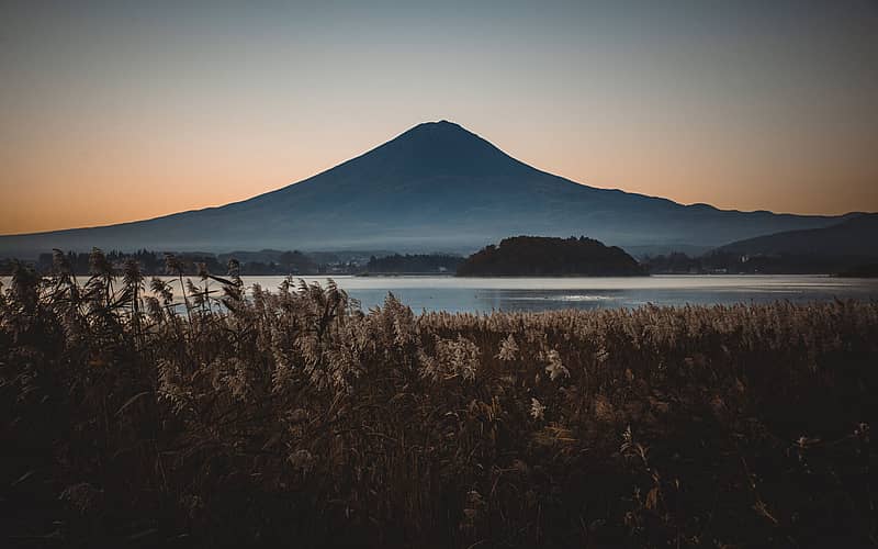 Play In The Sand Day (August 11th) | Days Of The Year