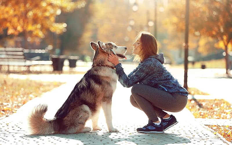 National Bad Poetry Day (August 18th) | Days Of The Year