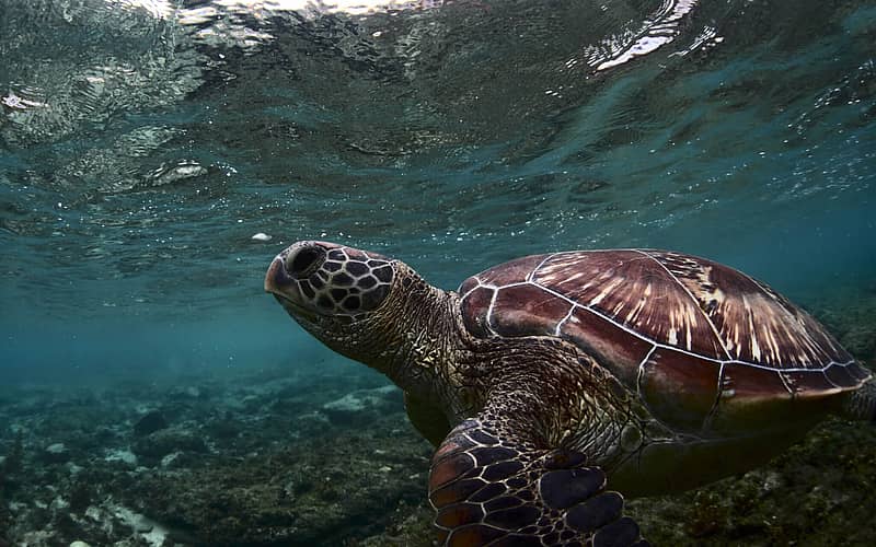 National Lucky Penny Day (May 23rd) | Days Of The Year