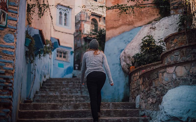 National Houseplant Appreciation Day (January 10th) | Days Of The Year