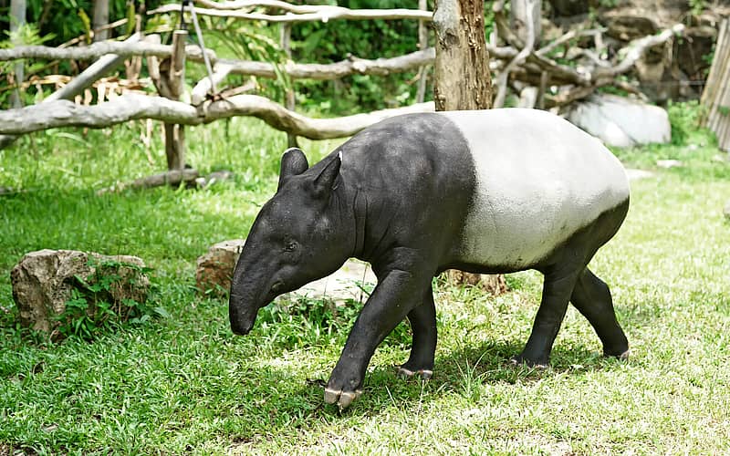 International Marconi Day (April 27th, 2024) | Days Of The Year