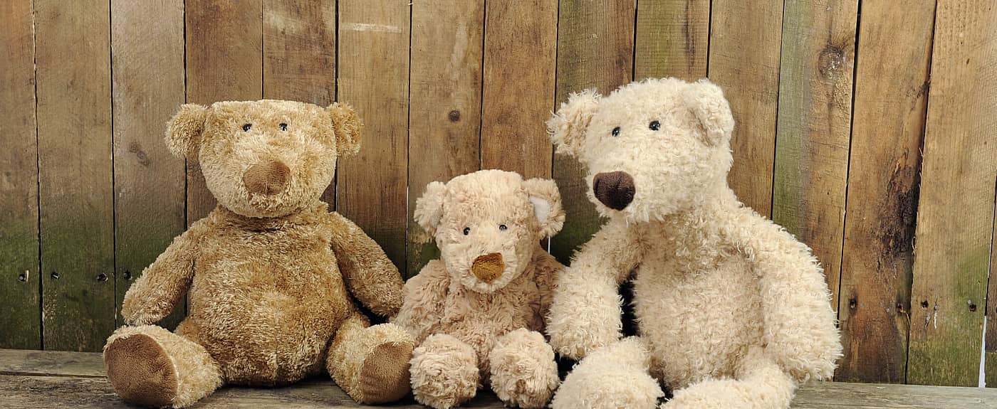 National Teddy Bear Day (September 9th) | Days Of The Year