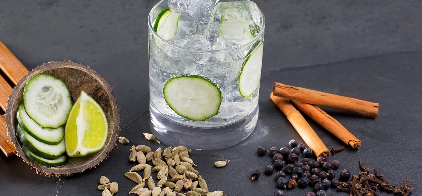 World Gin Day (June 10th, 2023) | Days Of The Year