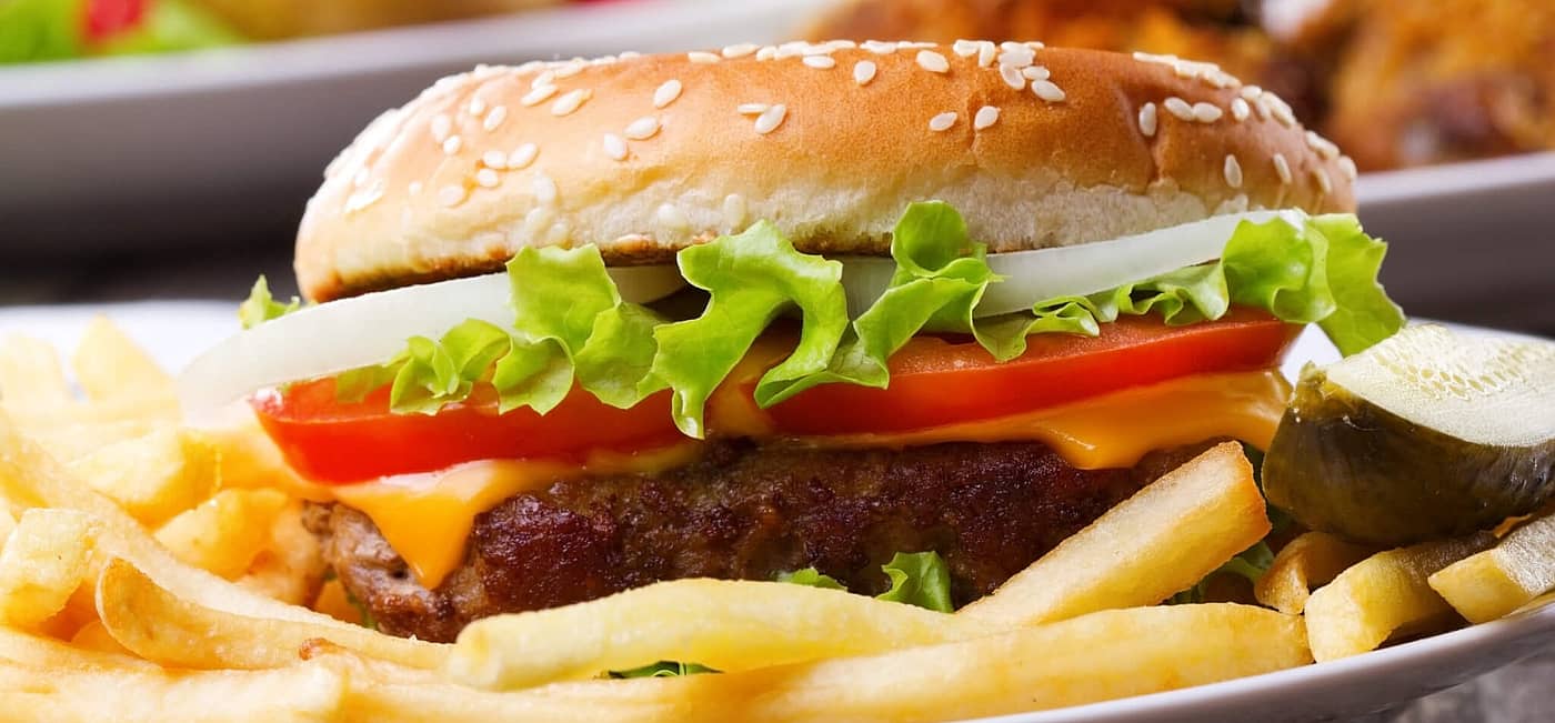 National Hamburger Month (May 2024) | Days Of The Year