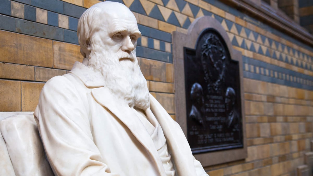 Darwin Day (February 12th) – Days Of The Year