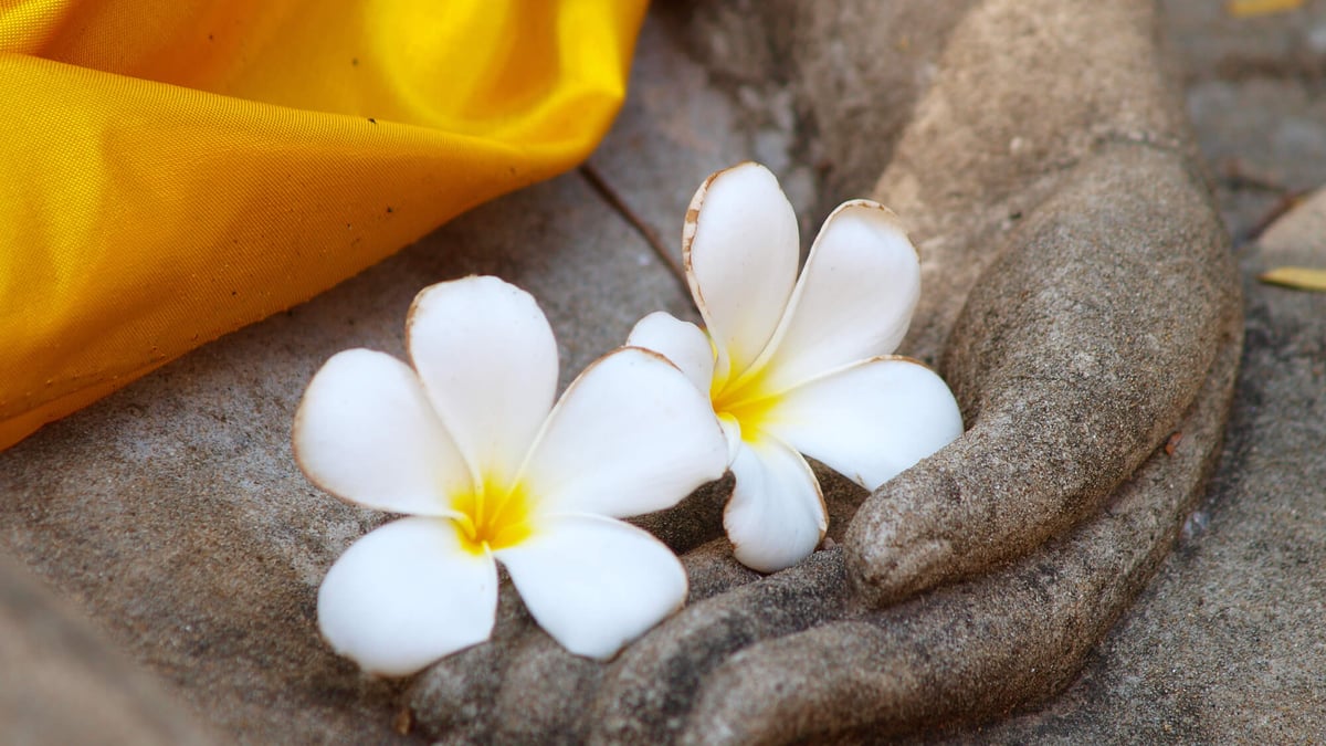 Tangible Karma Day (April 1st, 2023) | Days Of The Year