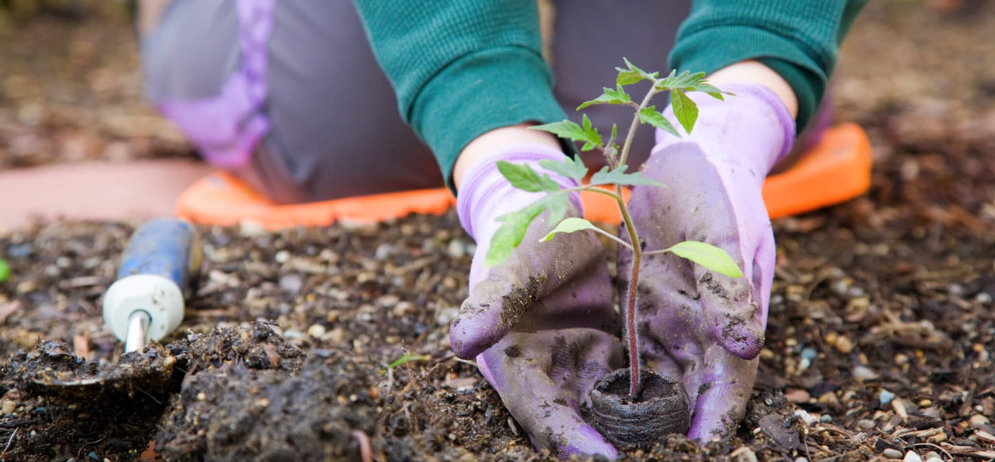 National Garden Month (April 2022) – Days Of The Year