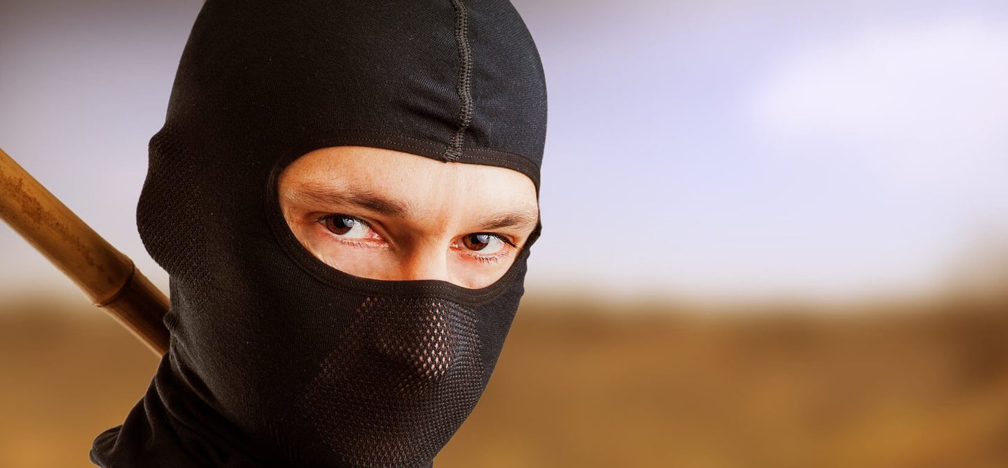 International Ninja Day (December 5th) – Days Of The Year