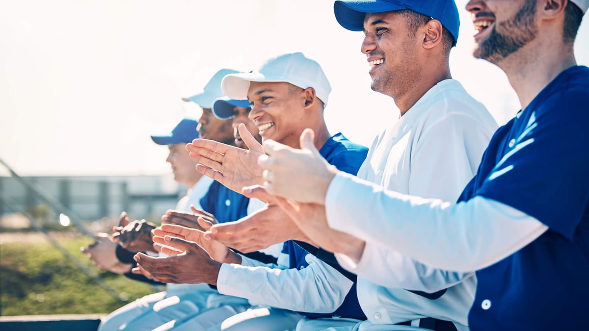 Baseball Fans Day (August 12th) | Days Of The Year