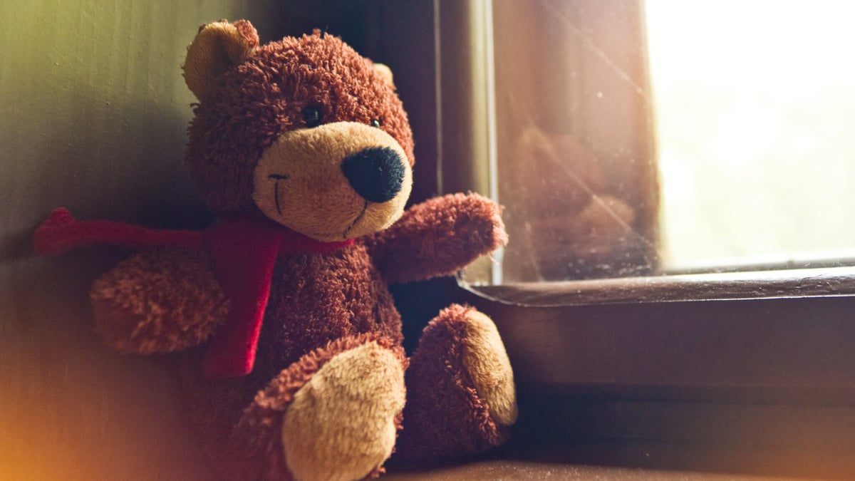Bring Your Teddy Bear To Work & School Day (October 9th, 2024) | Days ...