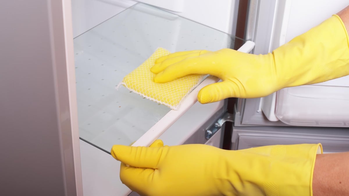 National Clean Out Your Refrigerator Day (November 15th) | Days Of The Year