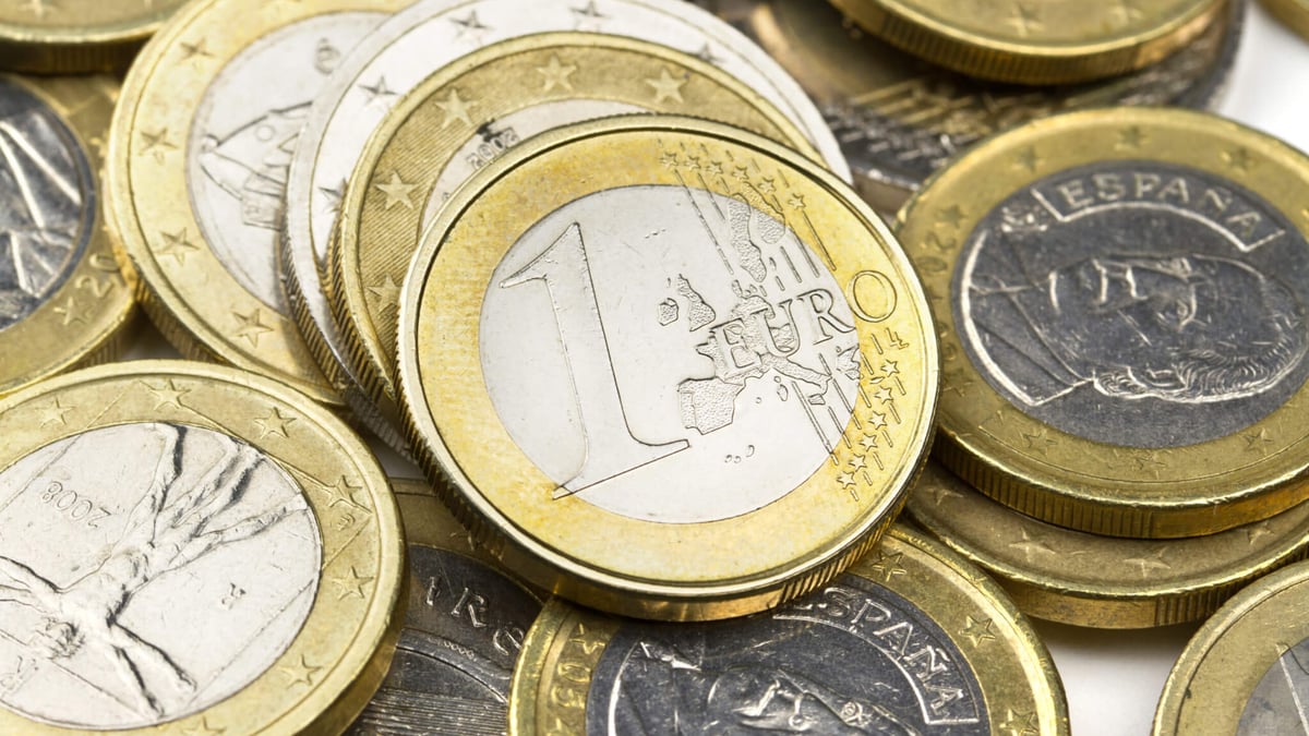 Euro Day (January 1st) | Days Of The Year